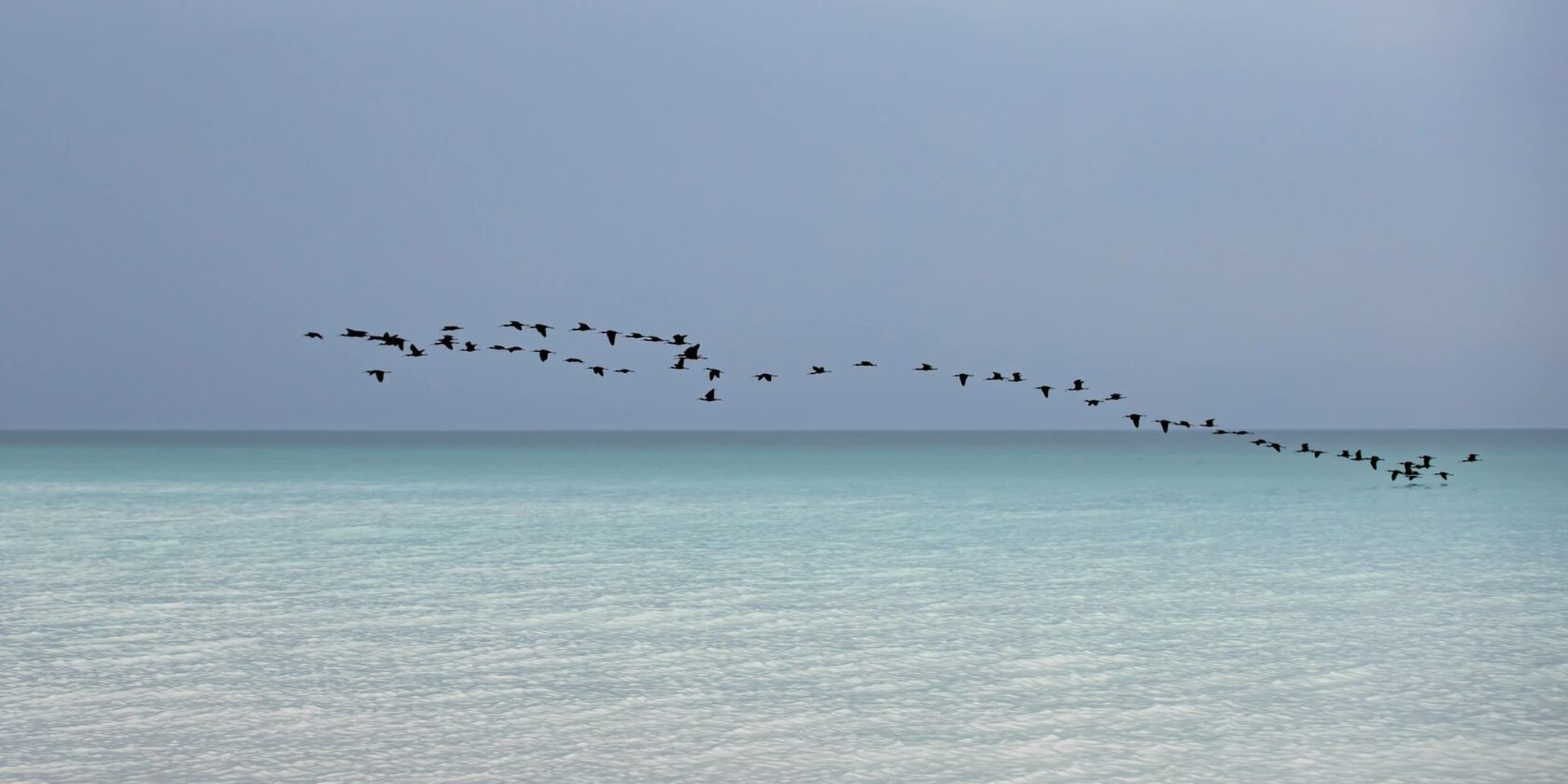 Sarykamysh lake - Ayan Travel Agency Turkmenistan
